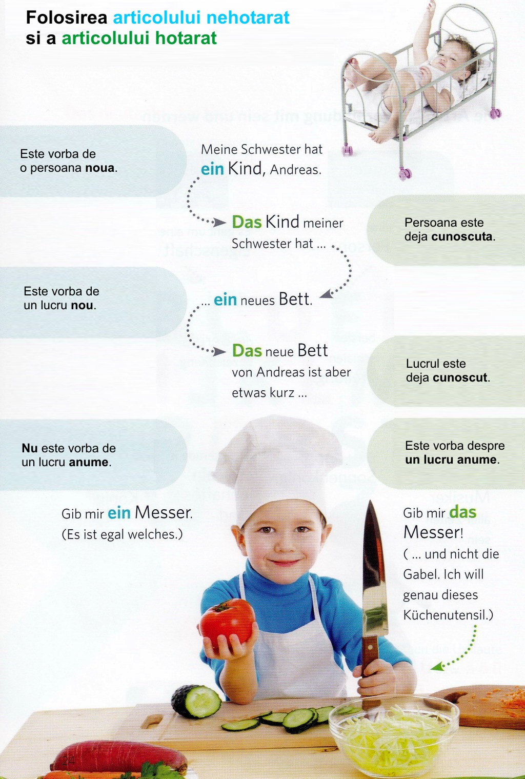 Articolul (Der Artikel) - Gramatica in imagini