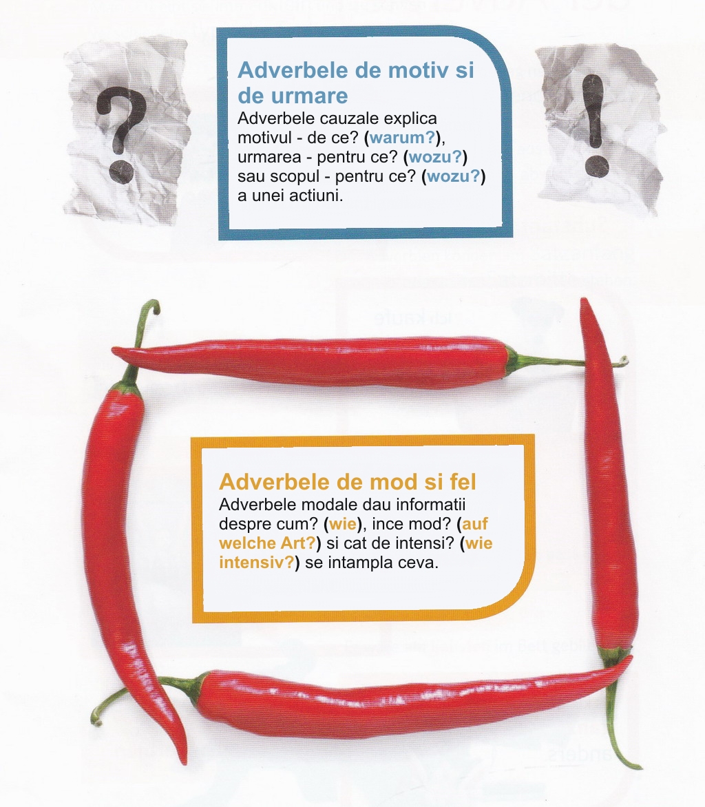 Adverbele (die Adverbien)